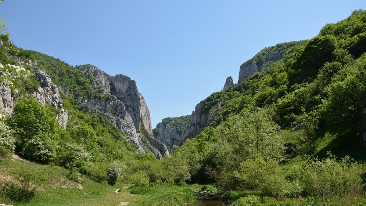 cheile turzii – GoNEXT