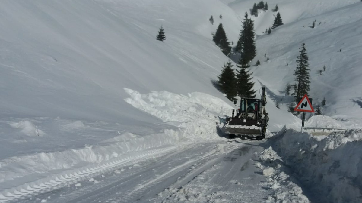 ninsoare zapada (2) – GoNEXT