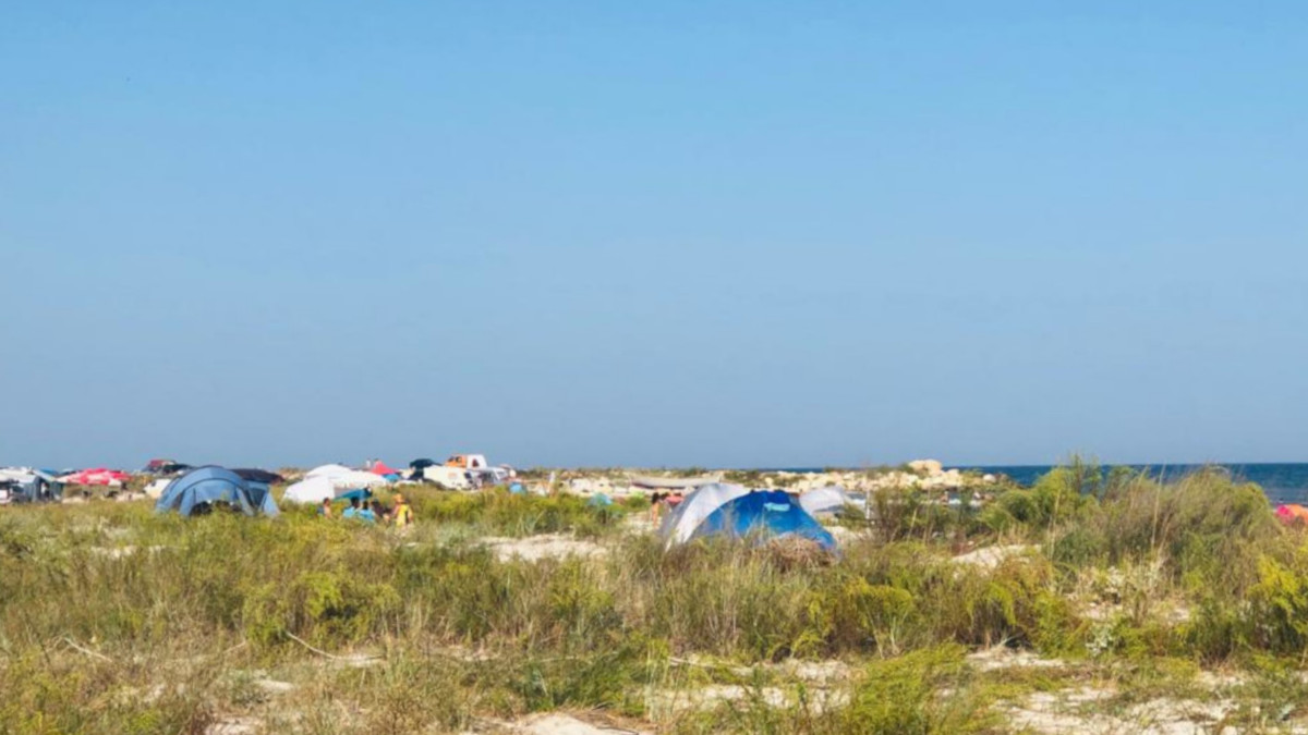 plaja vadu 2019 (1) – GoNEXT