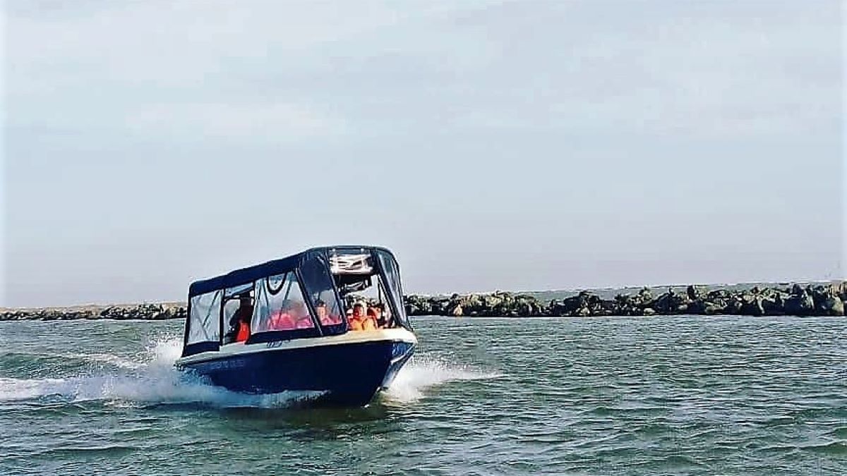 AONATR asigură că turiștii din Delta Dunării nu vor avea de suferit în ...