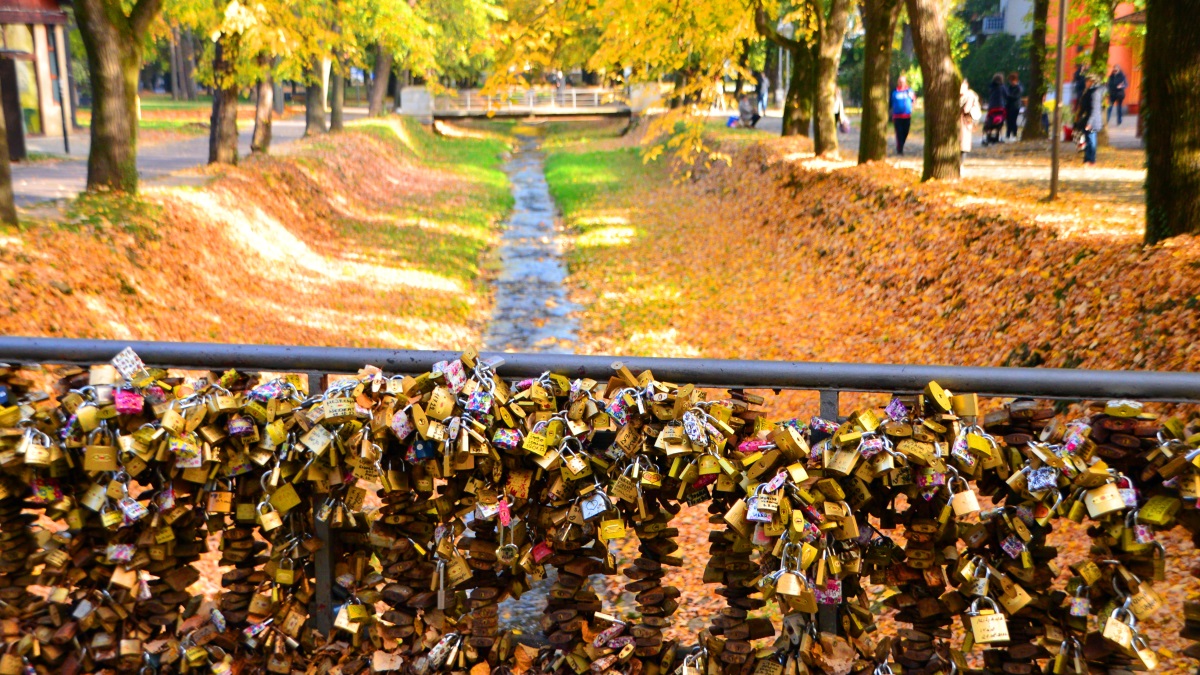 foto Ovidiu Oprea 2 – GoNEXT